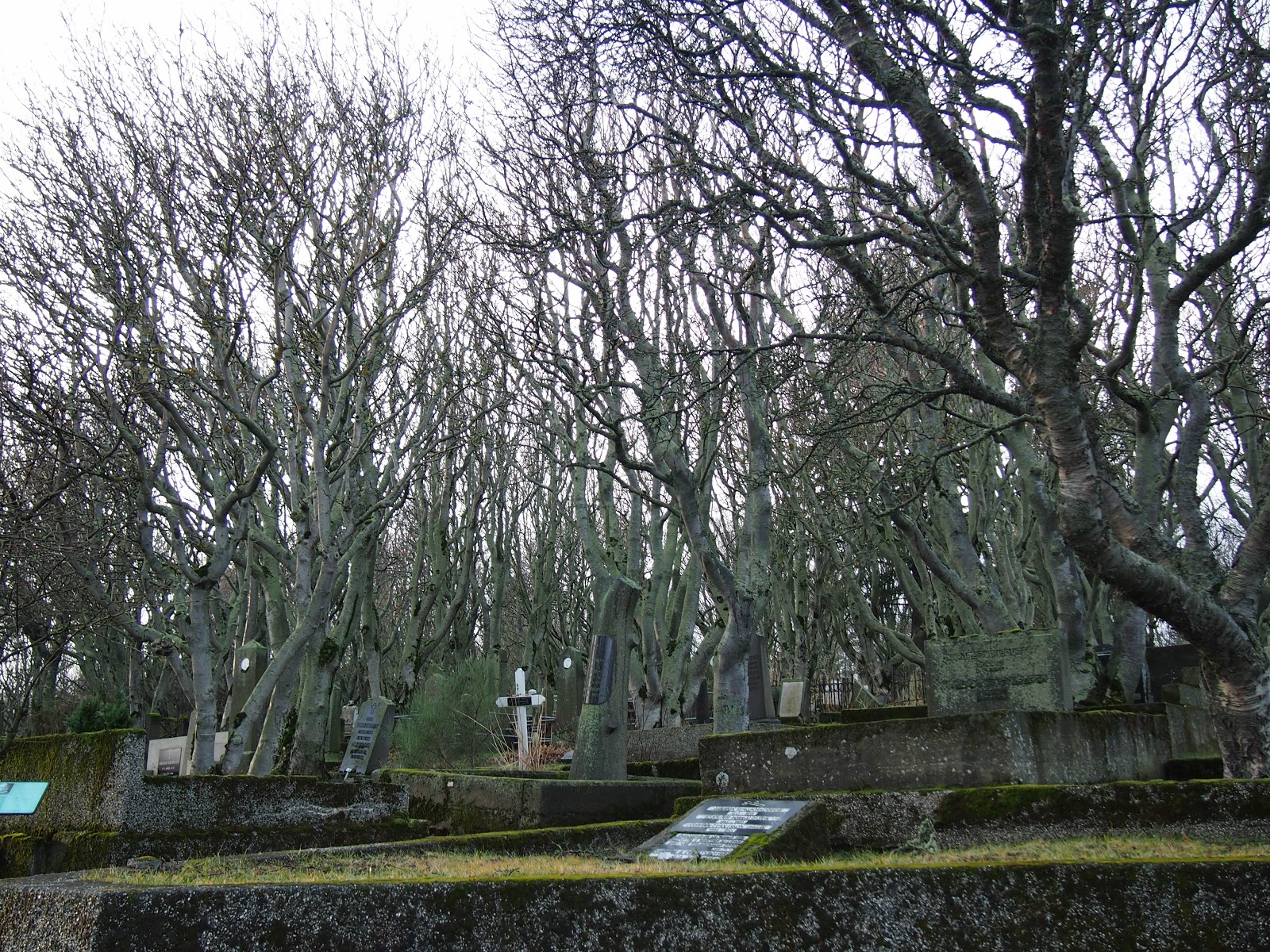“The largest and oldest museum in Reykjavik” – Hólavallagarður cemetery ...