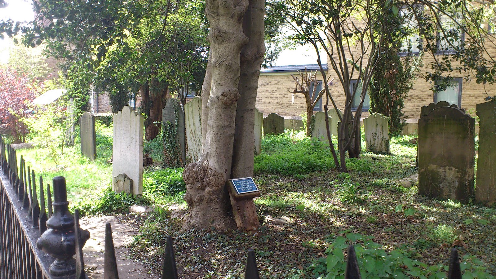 Skulls, astrologers and the sands of time: a Georgian graveyard in ...