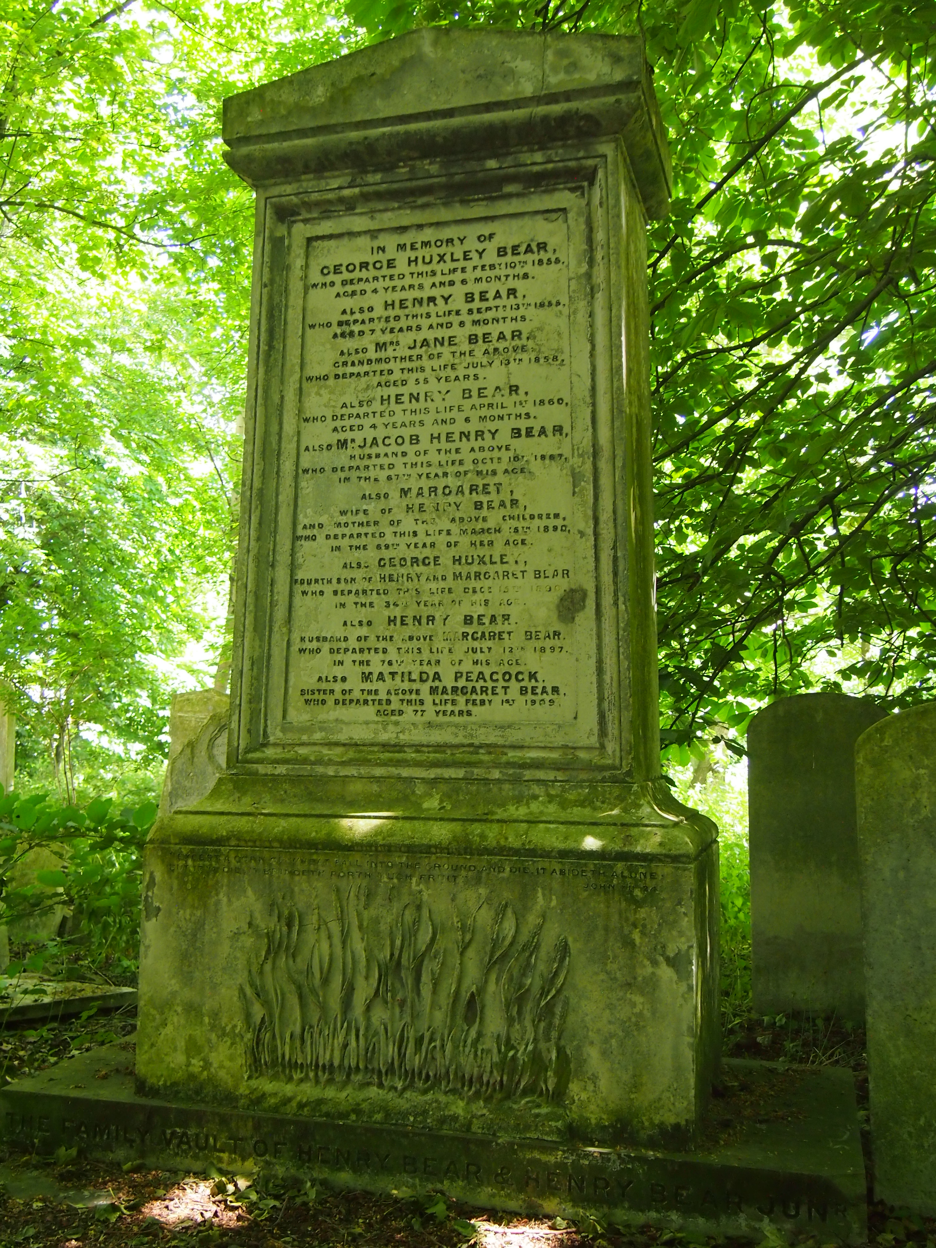 Tower Hamlets: a neglected cemetery reborn as a nature reserve ...