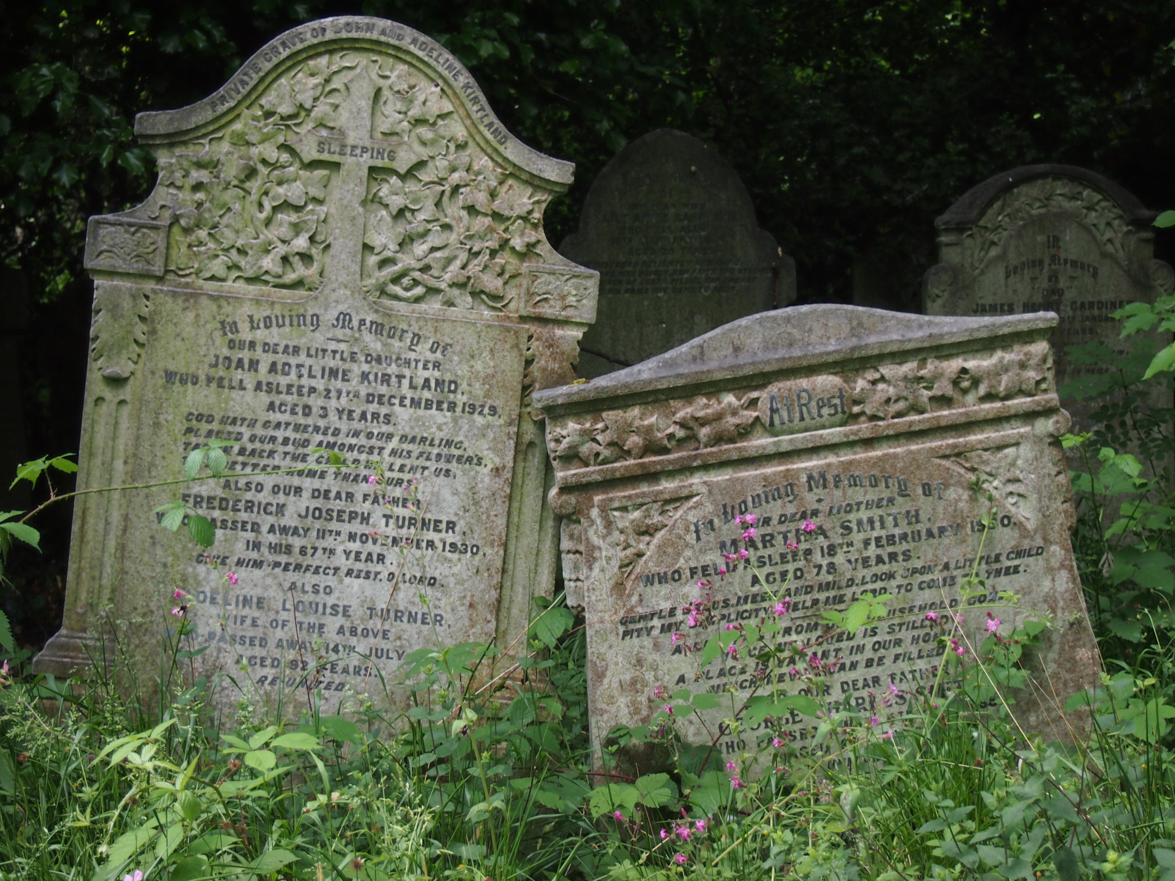 Tower Hamlets: a neglected cemetery reborn as a nature reserve ...
