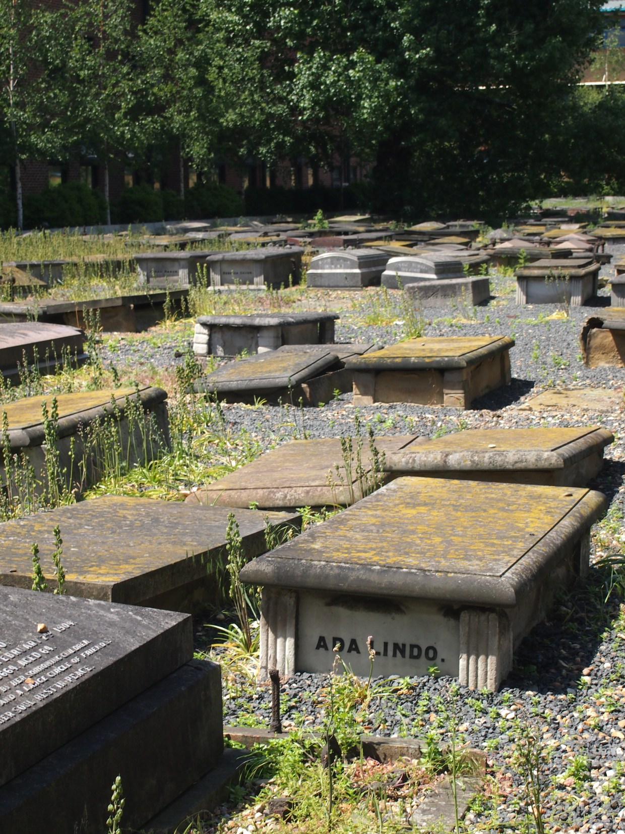 Novo Beth Chaim: an old Jewish cemetery marooned on a university campus ...