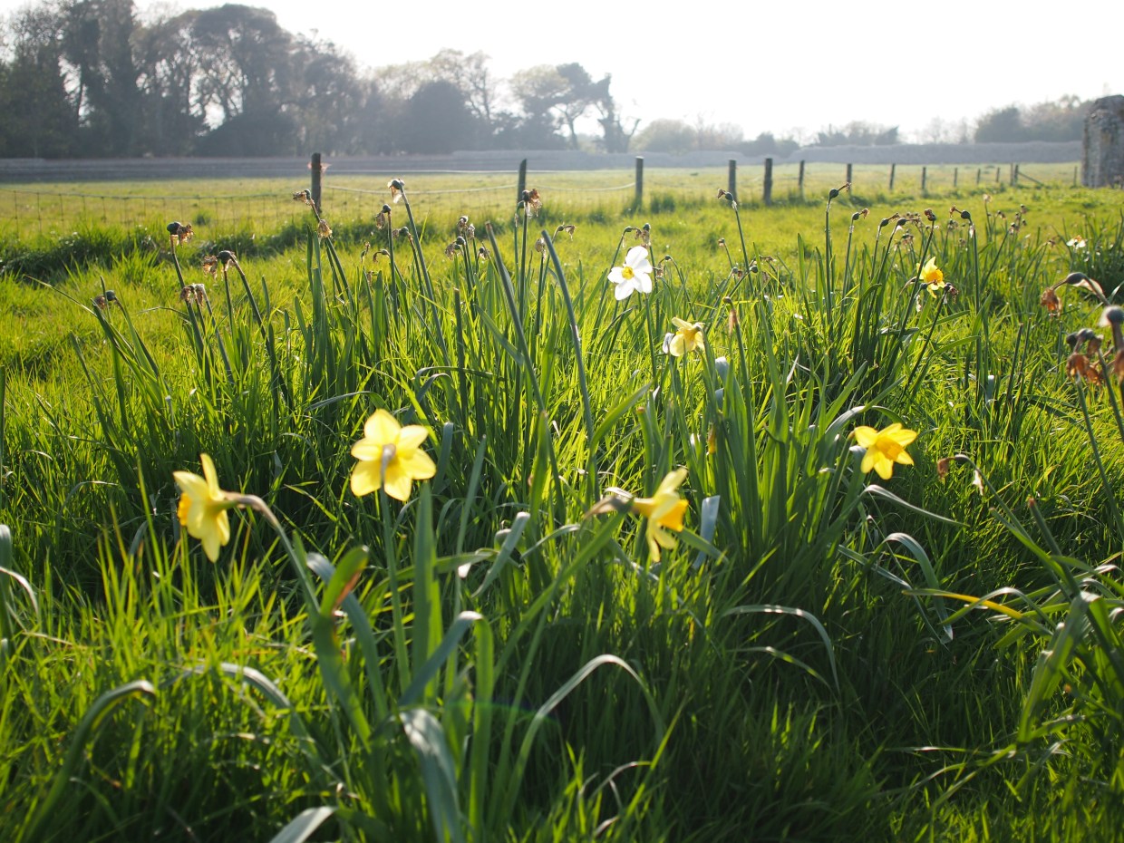 The last ruins of Dunwich, Suffolk’s lost medieval town – Flickering Lamps